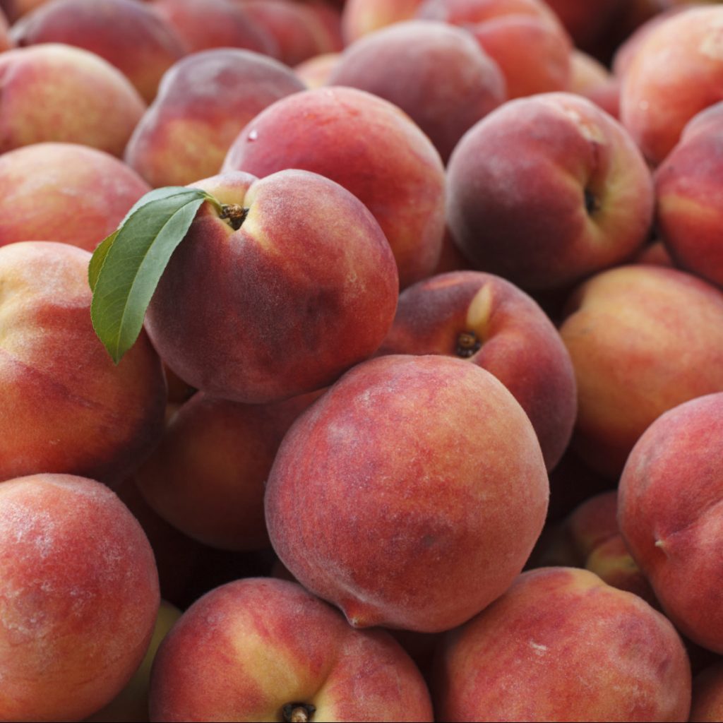 Farmer & Son | Seasonal Specials